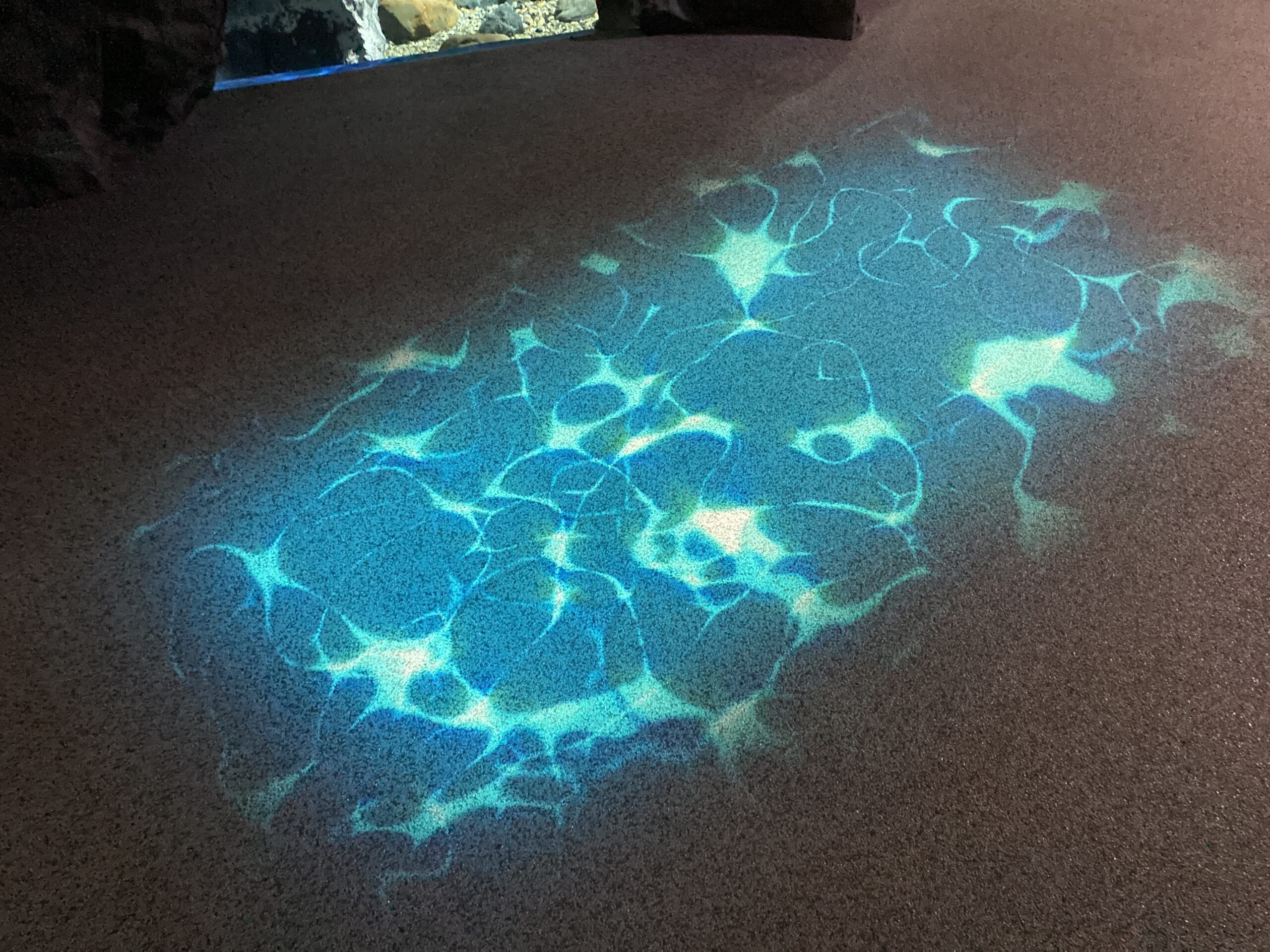 IMG_3143 | カズトが行く！